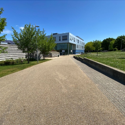 Chessington School - Latest News