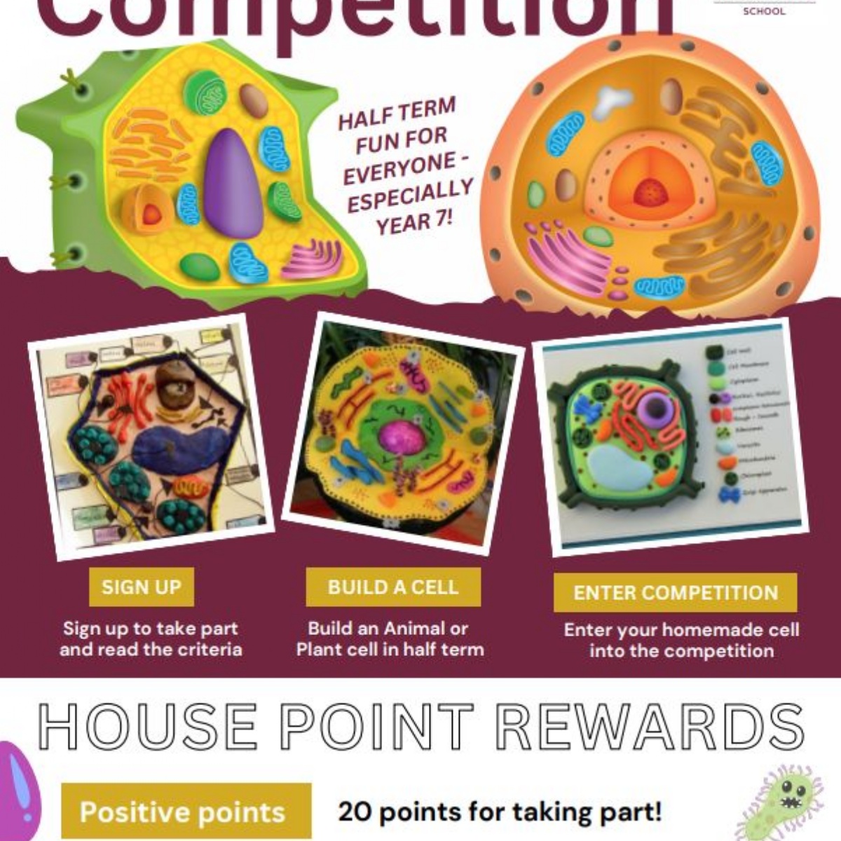 Chessington School - Build a Cell Competition