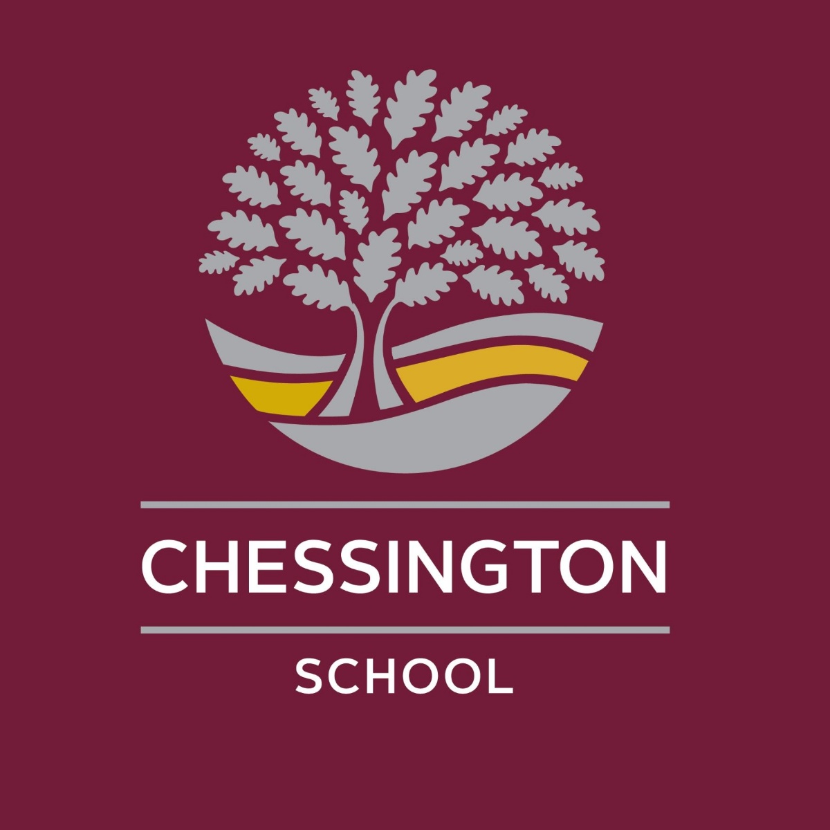 Chessington School - Item Not Available